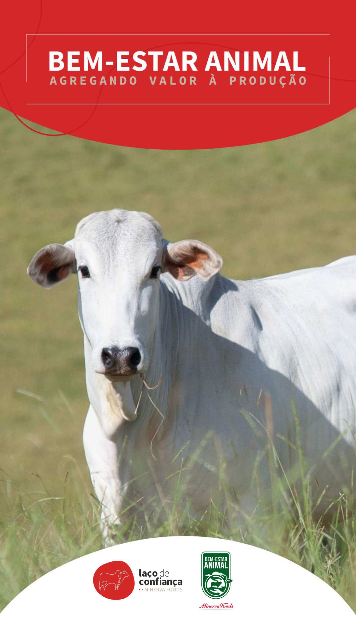 Pecuaristas | Minerva