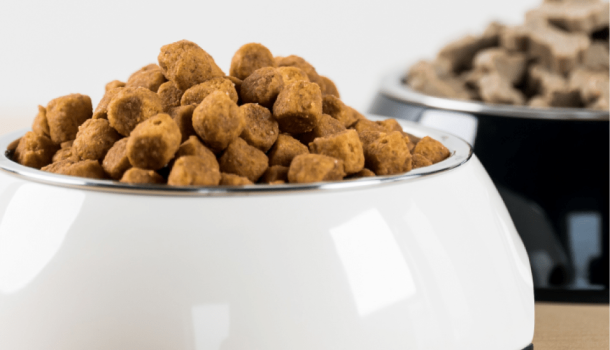 Minerva Ingredients - Minerva Foods Brazil